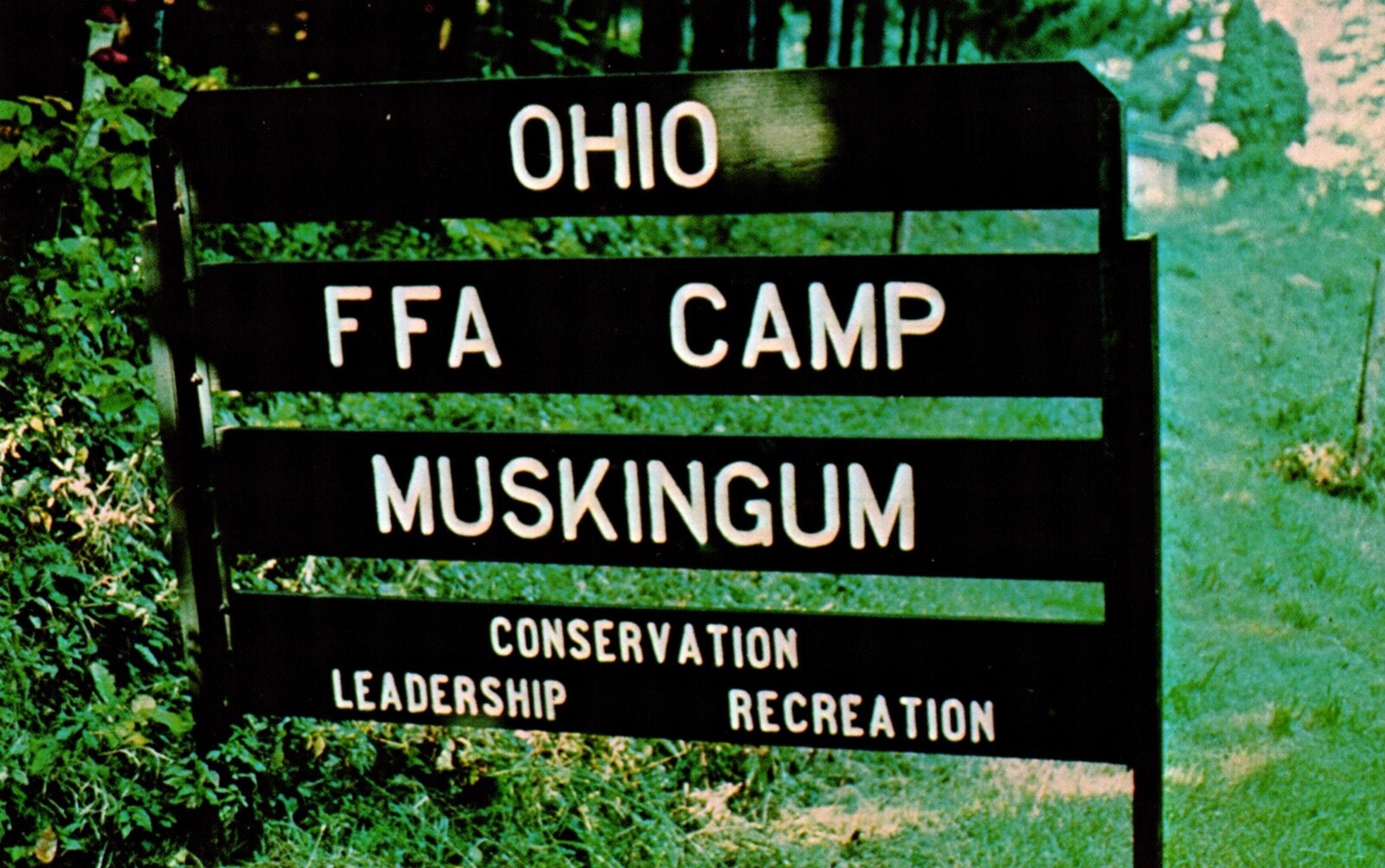 Postcard Ohio FFA camp Muskingum sign | eBay