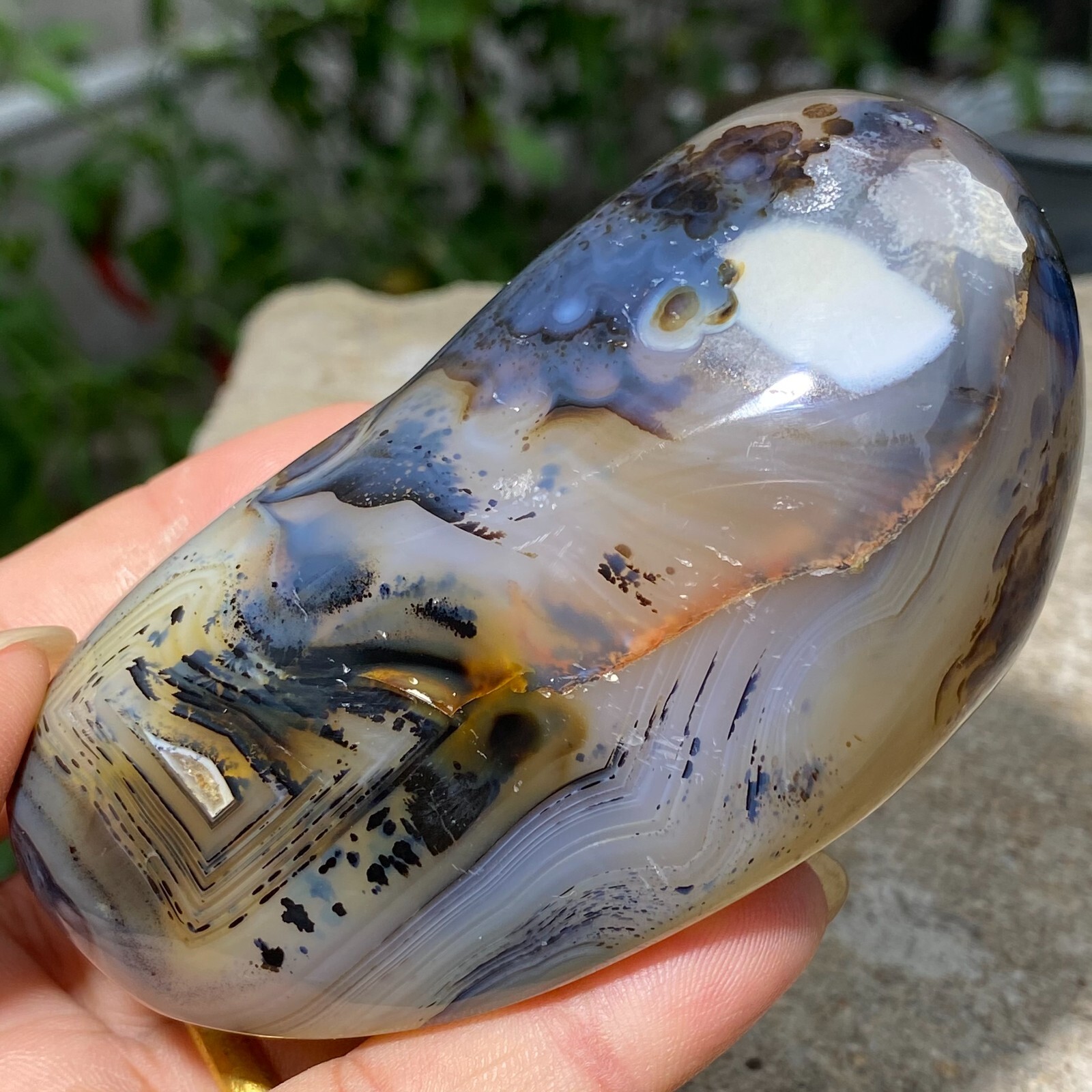 333g Dendritic Chalcedony Quartz Agate Crystal Palm Stone Natural ...