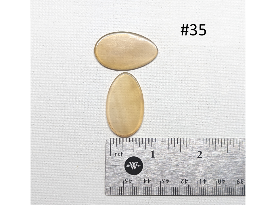 Turtle Shell Picks Guitar Mandolin Banjo - HIGHLY POLISHED | eBay