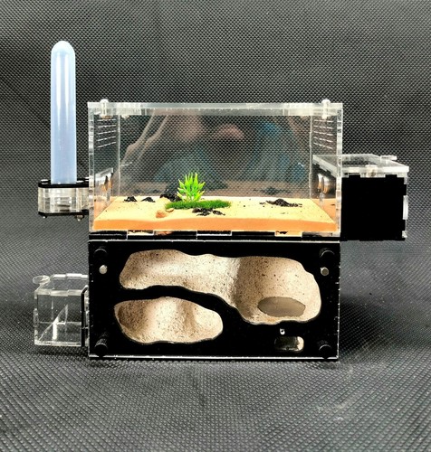 Ant tank/Ant farm - Stand Nest H03 - Full Option - New Version | eBay