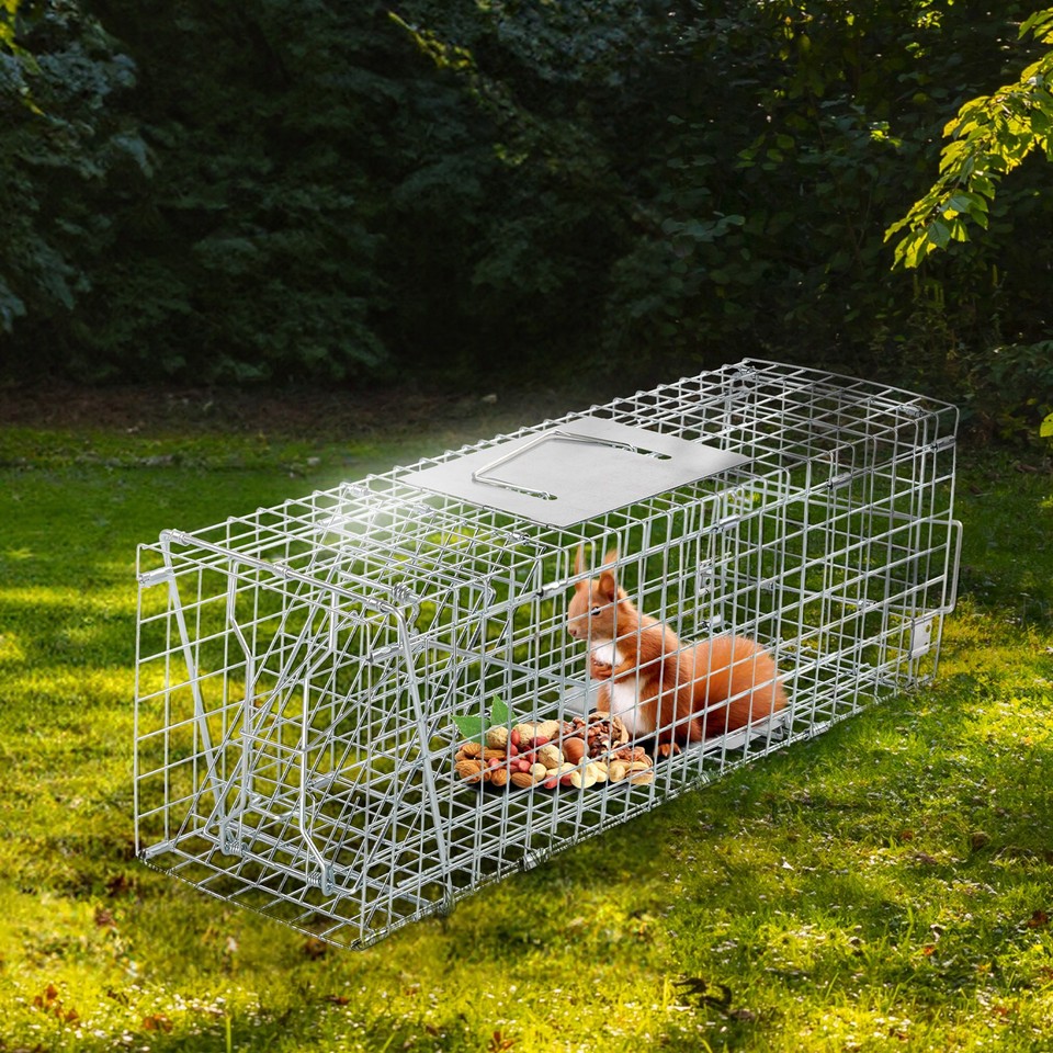 24" Live Animal Cage Trap,Heavy Duty Folding Raccoon Trap for Rabbits ...