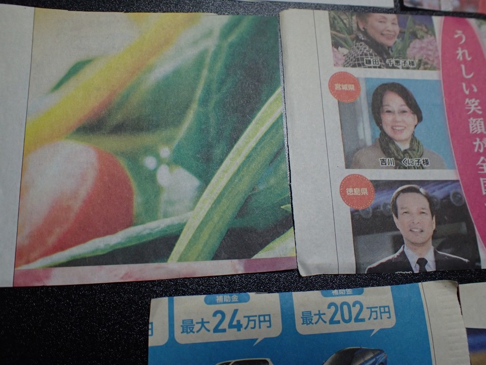 Pokemon Yomiuri Newspaper Clipping Mega Evolutions x10 Salamence etc ...
