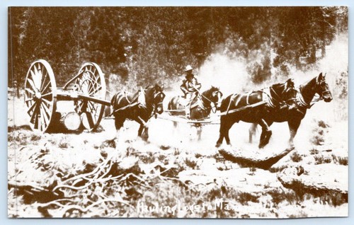 Postcard Logging with Horse Power and Michigan Wheels C5 | eBay