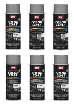 SEM 15763, Storm Gray, Color Coat Vinyl Paint, Aerosol (6 Pack) | eBay