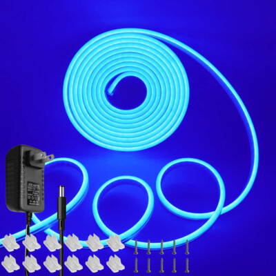 24V Blue LED Neon Rope Lights Strip 32.8ft Waterproof Tube w/ 110V 220V ...
