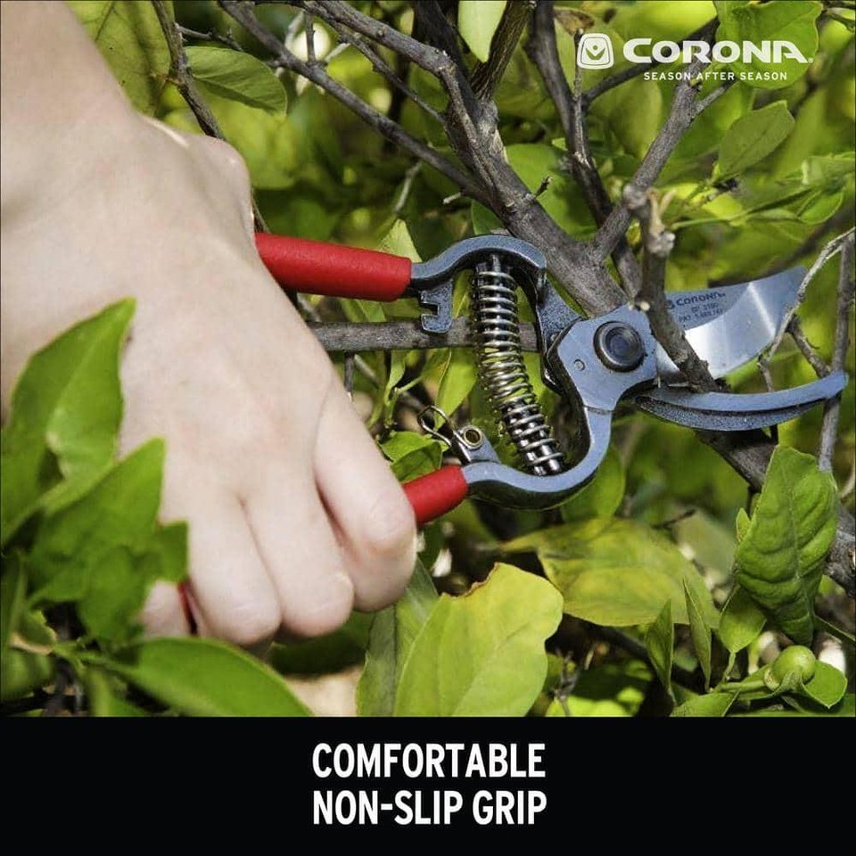 Corona Hand Pruner + Procut Lopper Carbide Blade Steel Handle ...