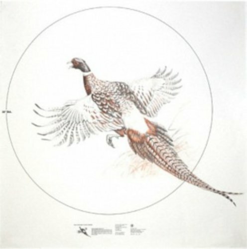 25 NRA Life-Size Game Targets, Mallard (HF07950) or Pheasant (HF07910 ...