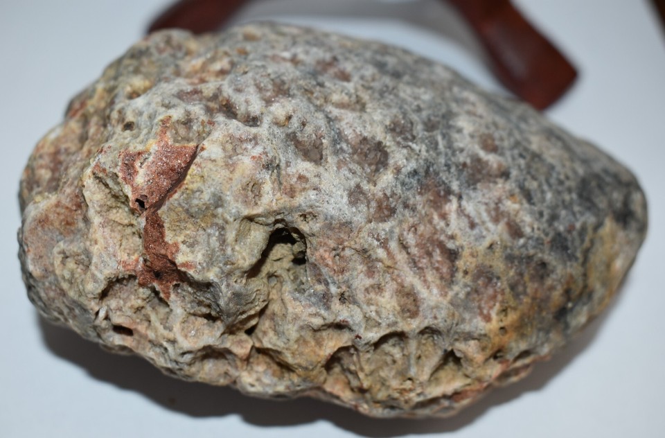 Golden Drusy Crystal Brain Geode North Carolina on Display Carved Wood ...