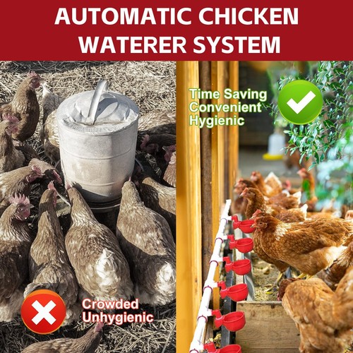 Automatic Chicken Waterer System (45 Accessories Included), Complete ...