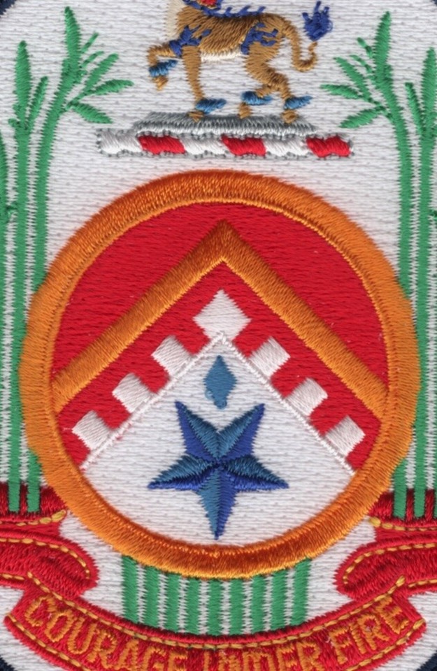 USS John L. Canley ESB-6 Patch | eBay