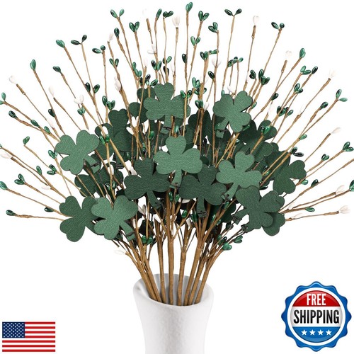 Eternity sky 8Pcs St Patricks Day Decorations Shamrock Picks Decor ...