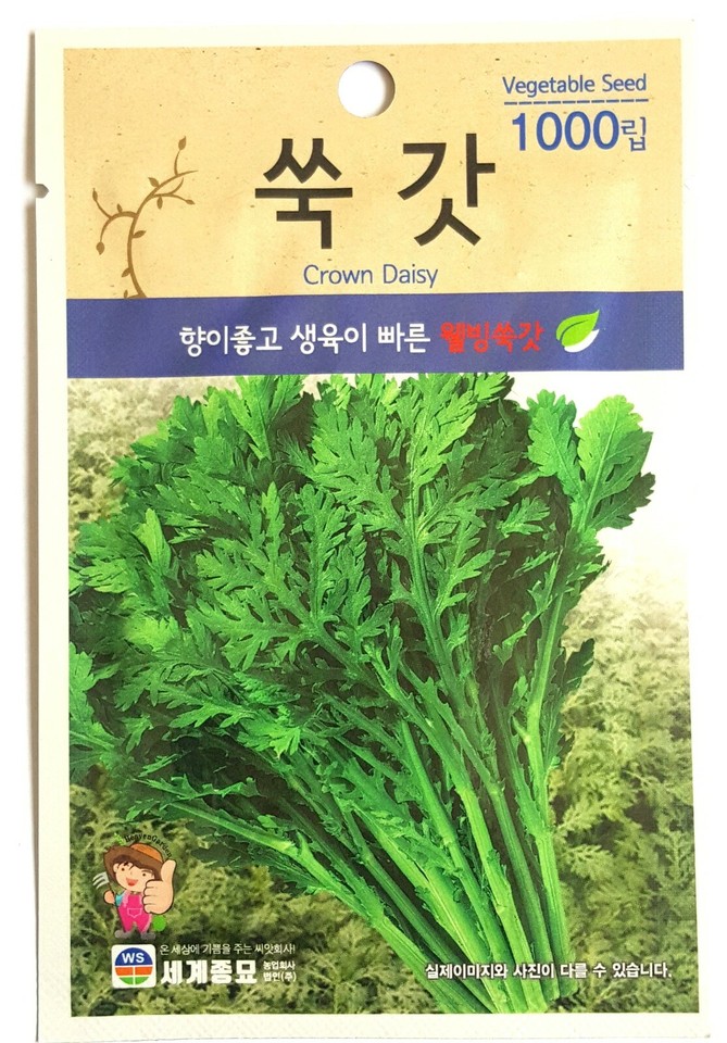 Korean Healthy Vegetable Lettuce, Sesame, Radish, Chives, Cirsium Seed ...
