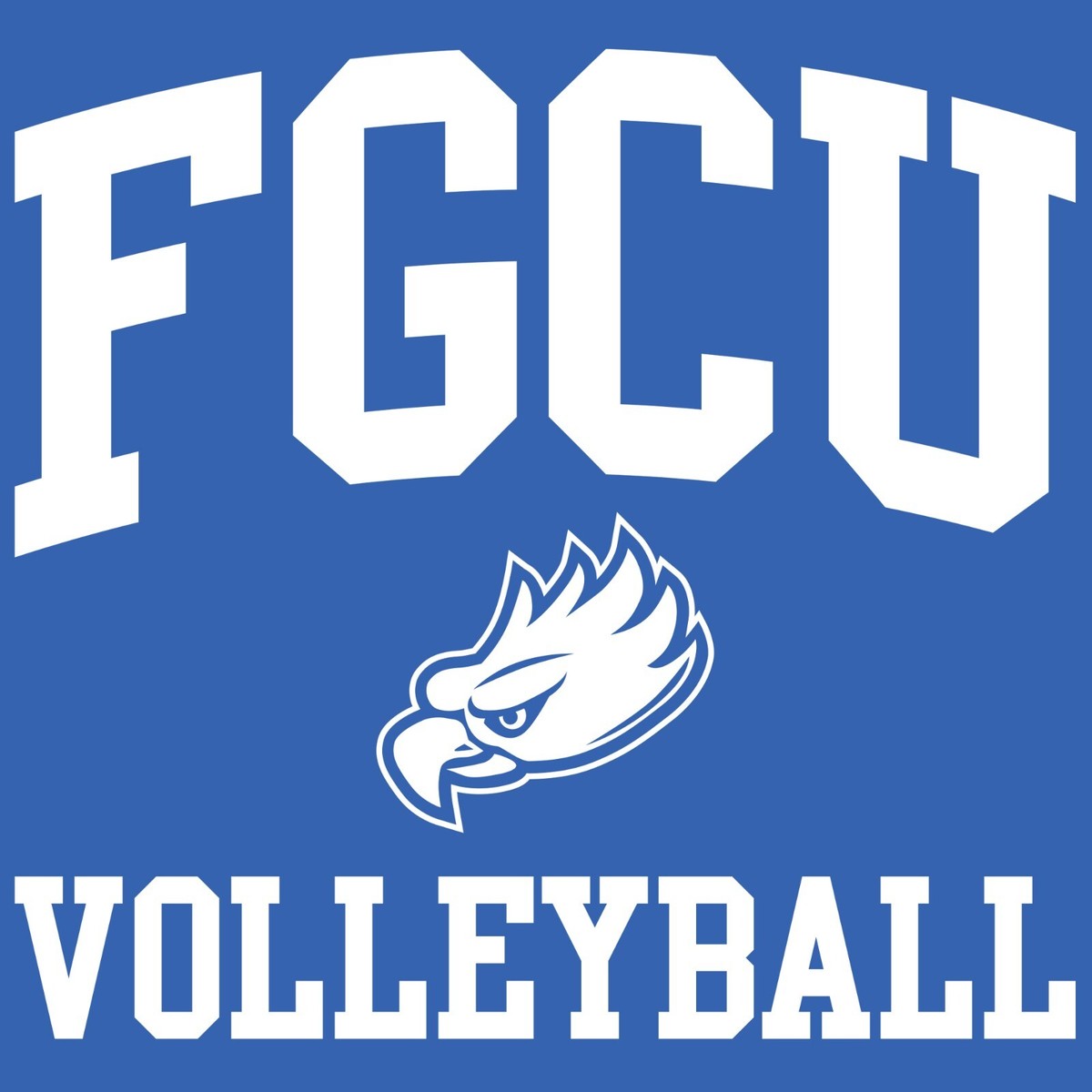 Florida Gulf Coast University Logo Changing Your ID Photo – Florida
