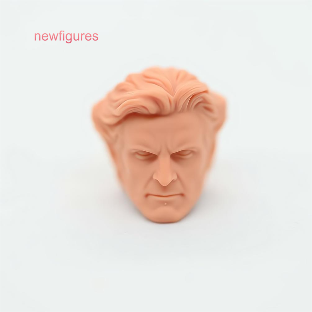 1:18 Wolverine Logan Head Sculpt Model For 3.75" Male Action Figure ...