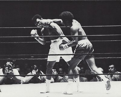 MUHAMMAD ALI vs JIMMY ELLIS 8X10 PHOTO BOXING PICTURE | eBay