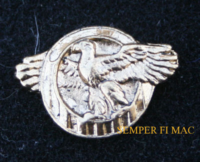 US MARINE RUPTURED DUCK HONORABLE DISCHARGE HAT LAPEL PIN UP WW 2 ...