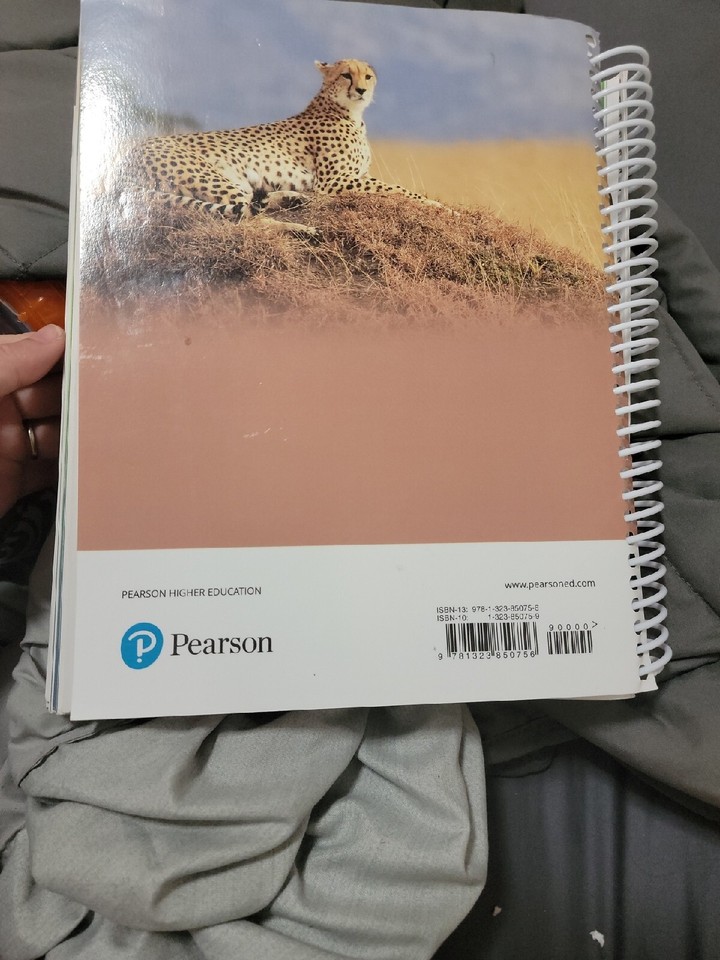 GO! Microsoft Office 2016 and Computer Concepts Text Book Pearson ...