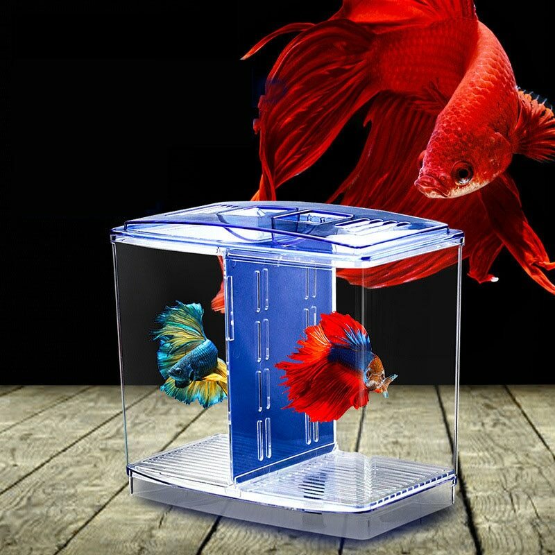 Fighter Fish Breeding Tank Guppy Breeding Float Tank 2.0 – Fishtopia
