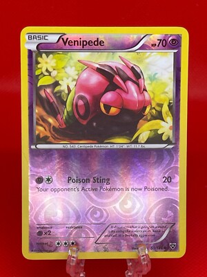 Pokémon TCG Venipede 51/146 Reverse Holo X&Y Base Set XY English 2014 ...