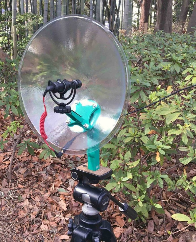 Parabolic Collector Sound Concentrator Microphone Bird watching about ...