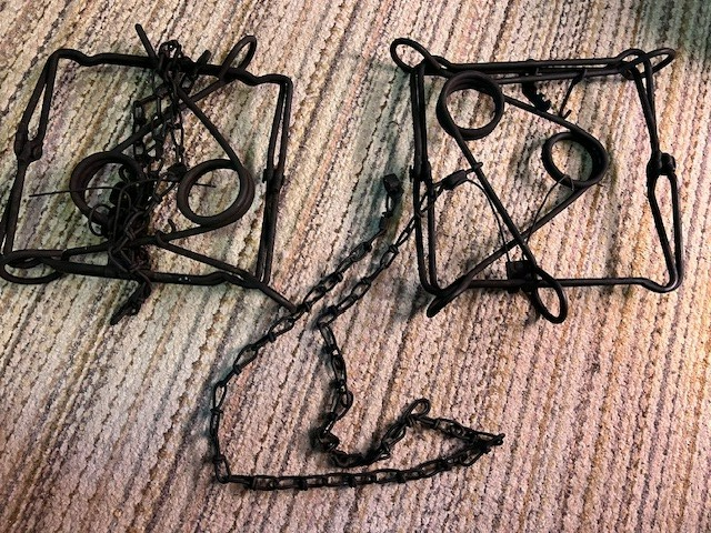 2- #330 Victor Conibear Traps - with extra chain and swivels | eBay