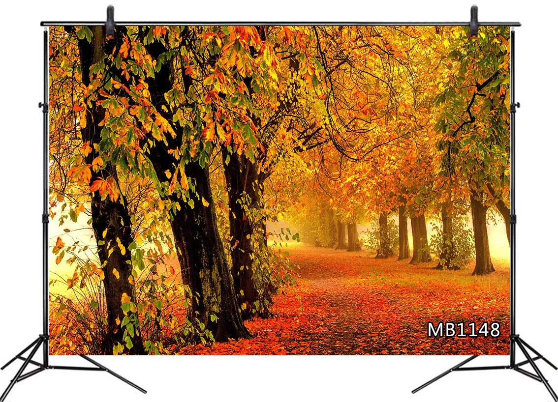 Country Backdrops