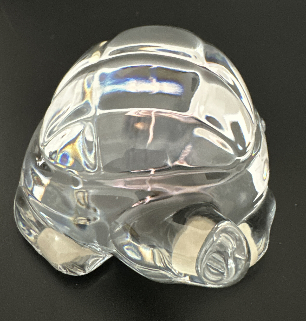 Baccarat France Crystal Turtle Tortoise Figurine Paperweight | eBay
