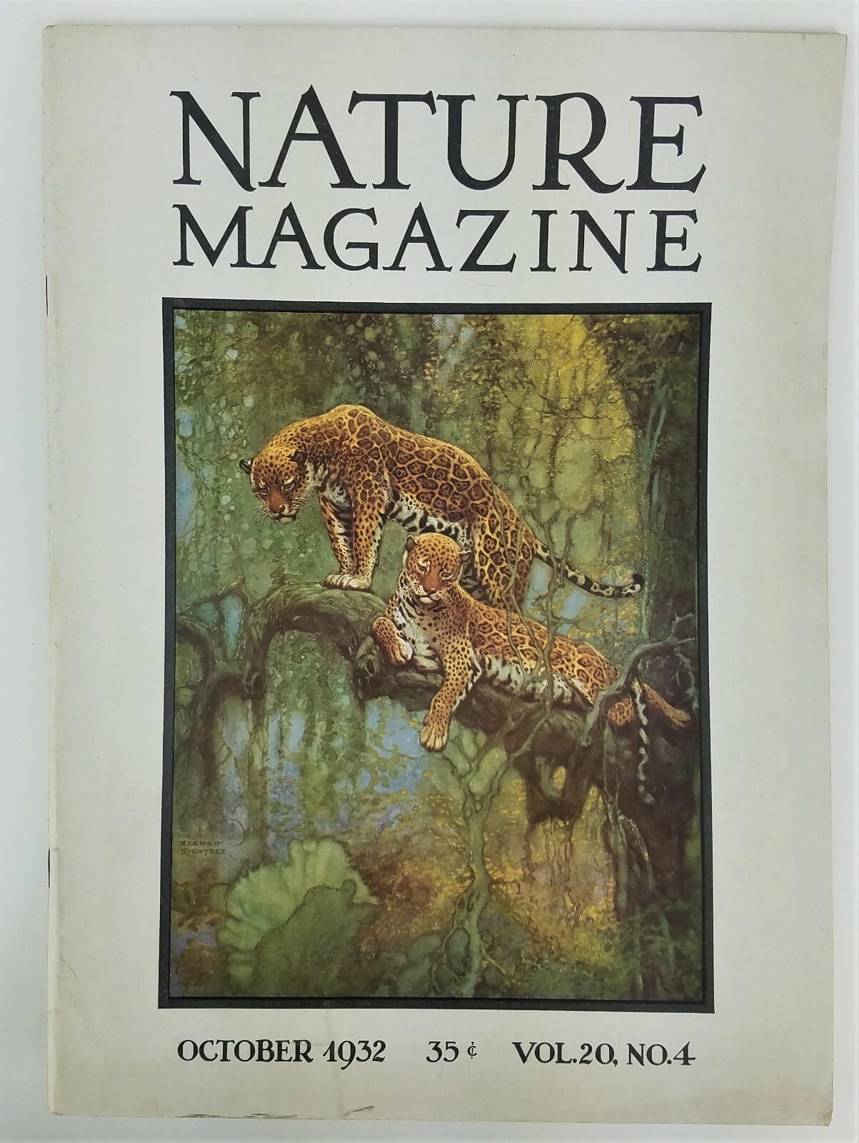 NATURE MAGAZINE Various Issues 1932, 1933, 1937 | eBay