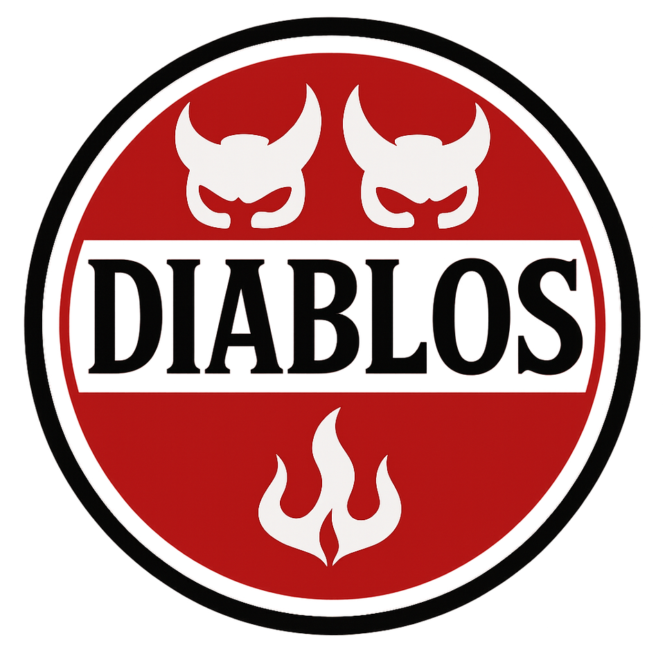 180/55-17 + 120/70-17 DIABLOS Motorcycle Tire SET - NEW (2 TIRES) DOT ...