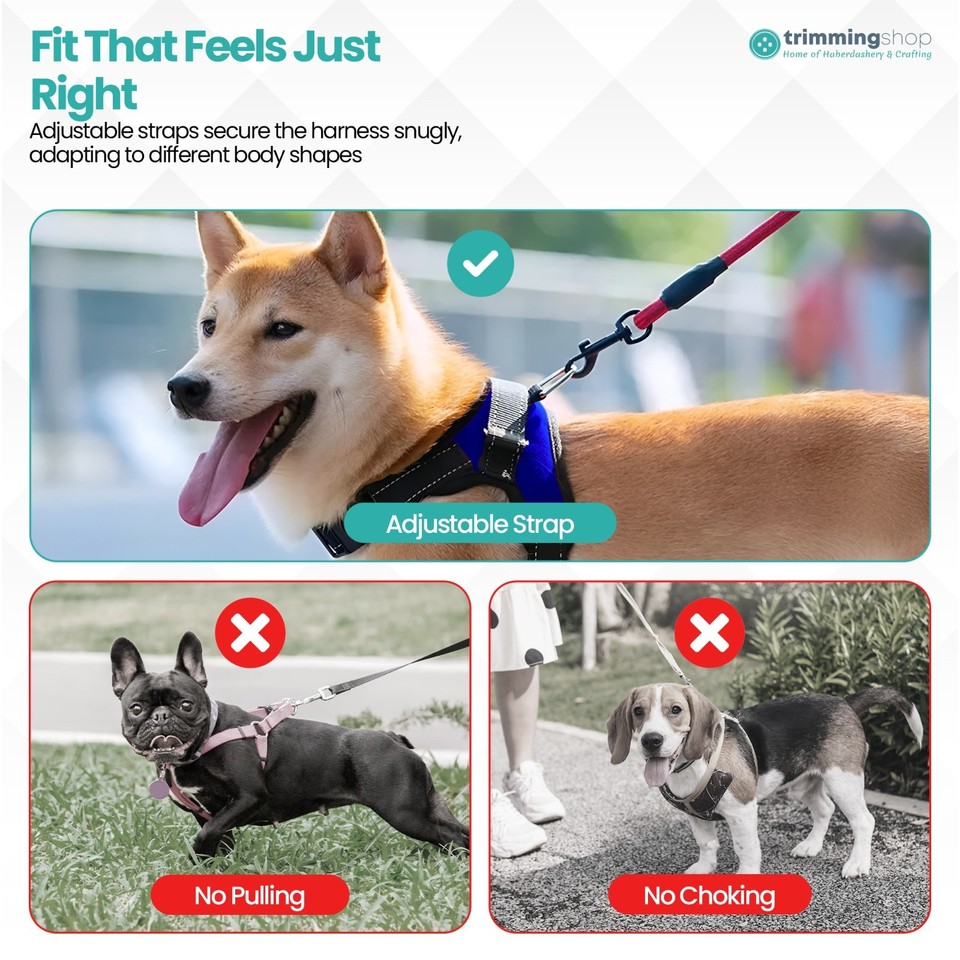 Dog Harness For Small Medium Large No Pull Dogs Anti Pull Strong And ...
