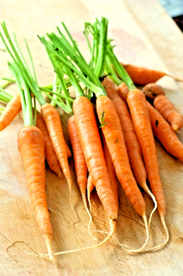 1000+ SCARLET NANTES CARROT SEEDS 🥕️ SWEET CORELESS • NON-GMO • FREE ...