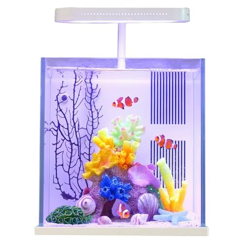 Betta Nemo Fish Tank Small Aquarium Starter Kit with Filter and ...