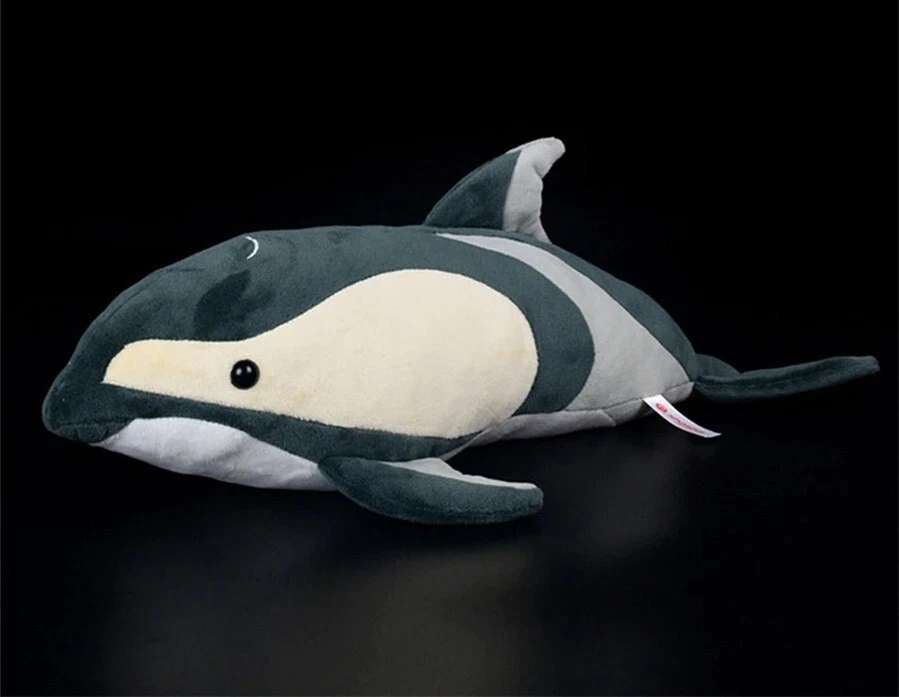 Baby Hourglass Dolphin