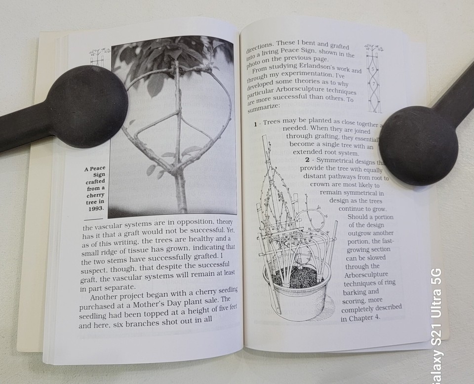 HOW TO GROW A CHAIR: THE ART OF TREE TRUNK TOPIARY- Richard Reames-VG ...