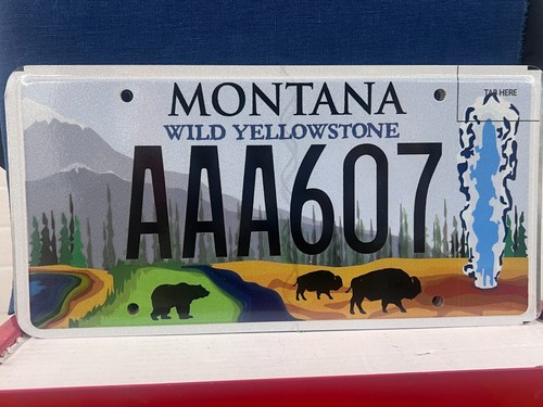 WILD YELLOWSTONE GREATER YELLOWSTONE COALITION MONTANA LICENSE PLATE | eBay