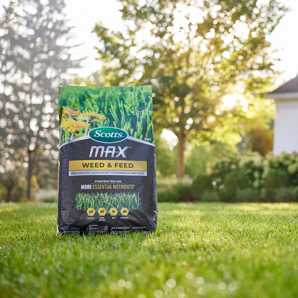 Scotts MAX Weed & Feed, 40 Pounds (Covers 14,000 Square Feet) | eBay