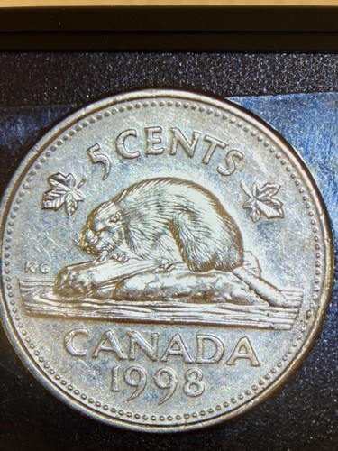 Canada 1998 ~ 5 Cent Coin / Beaver Nickel / QE II | eBay