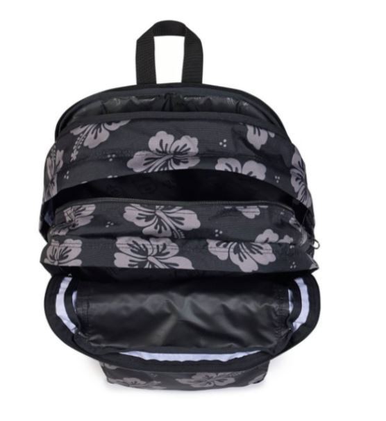 JanSport XL College Student Backpack 17” Computer Bag Adjustable ...