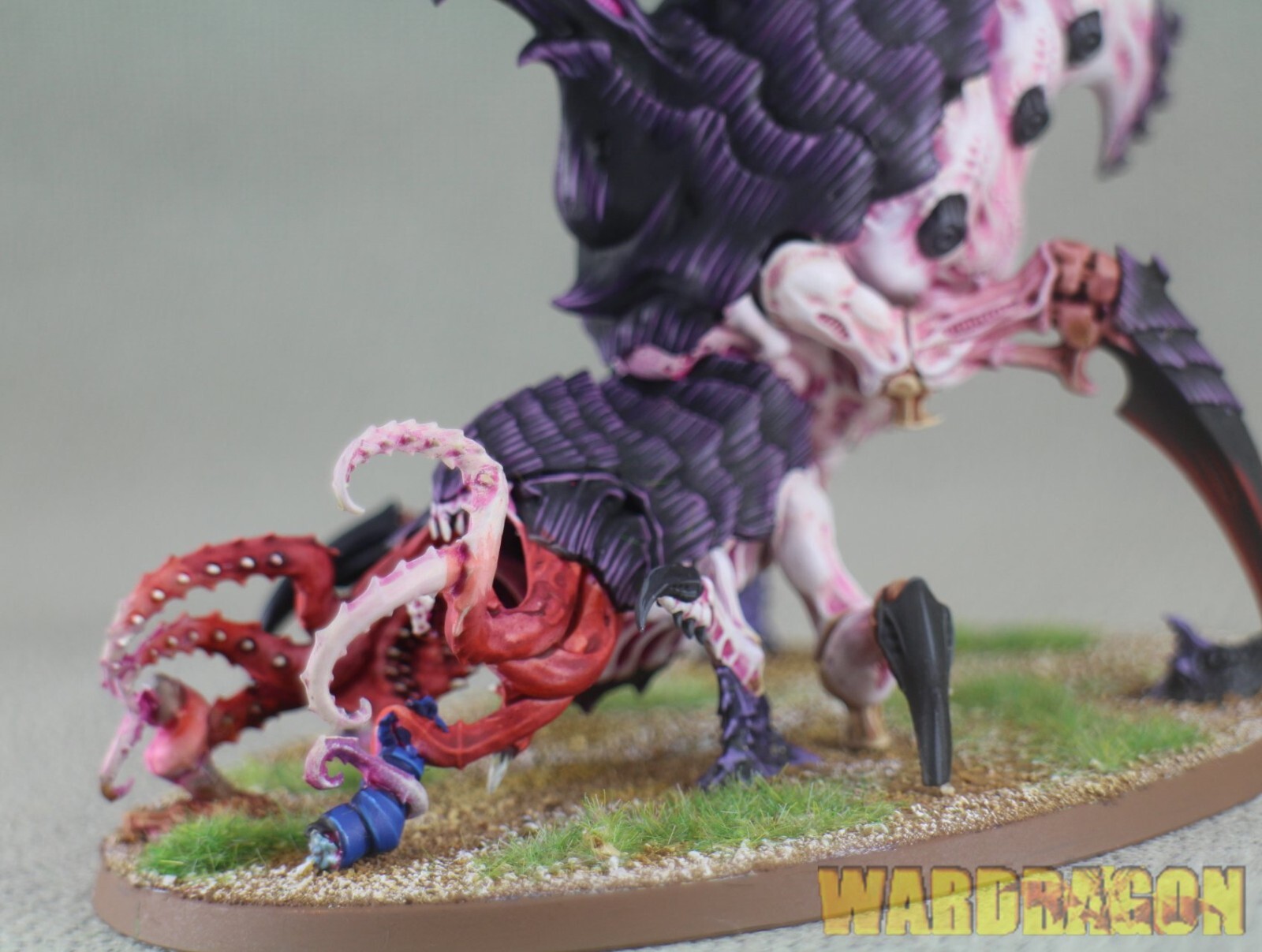Warhammer 40K WDS painted Leviathan Tyranids Psychophage s2 | eBay