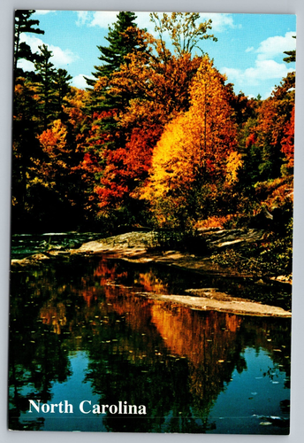 Falls Colors By A Small Body Of Water Tranquil Scene In North Carolina ...