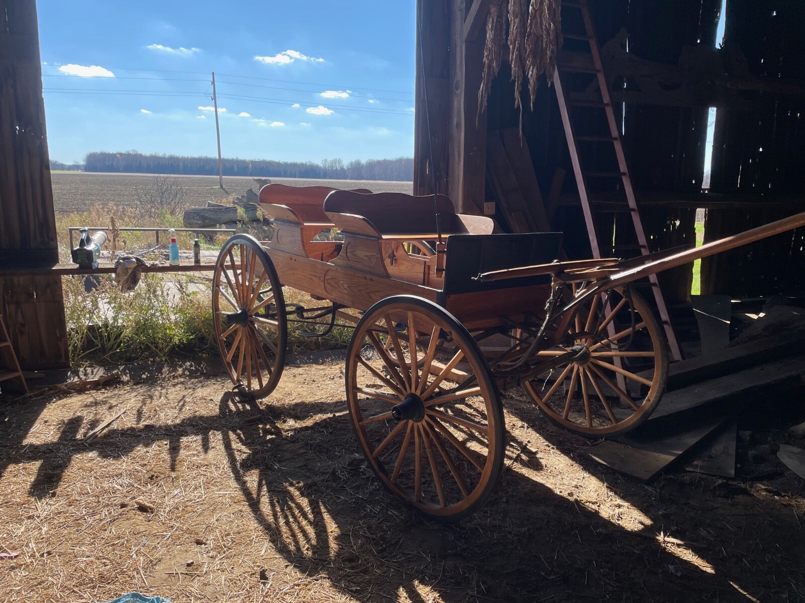 Horse Drawn Carriage/Buckboard | eBay