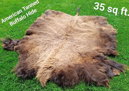 American Buffalo Tanned Hide w/Tail* LARGE | eBay