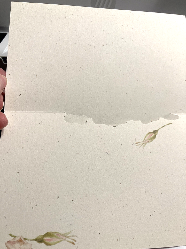 1995 Hallmark Marjolein Bastin Vase of Flowers W/yellow Bird, Blank ...