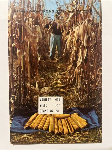 Vintage Dekalb Seed Corn Postcard farm advertising, Curteichcolor ...
