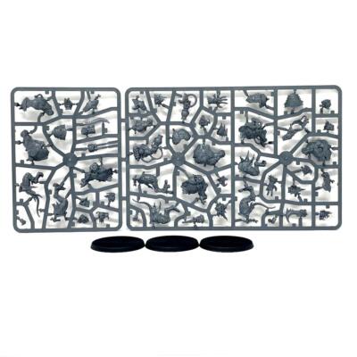 (X2870) Rat Ogors Regiment Skaven Skaventide Age Of Sigmar Warhammer | eBay