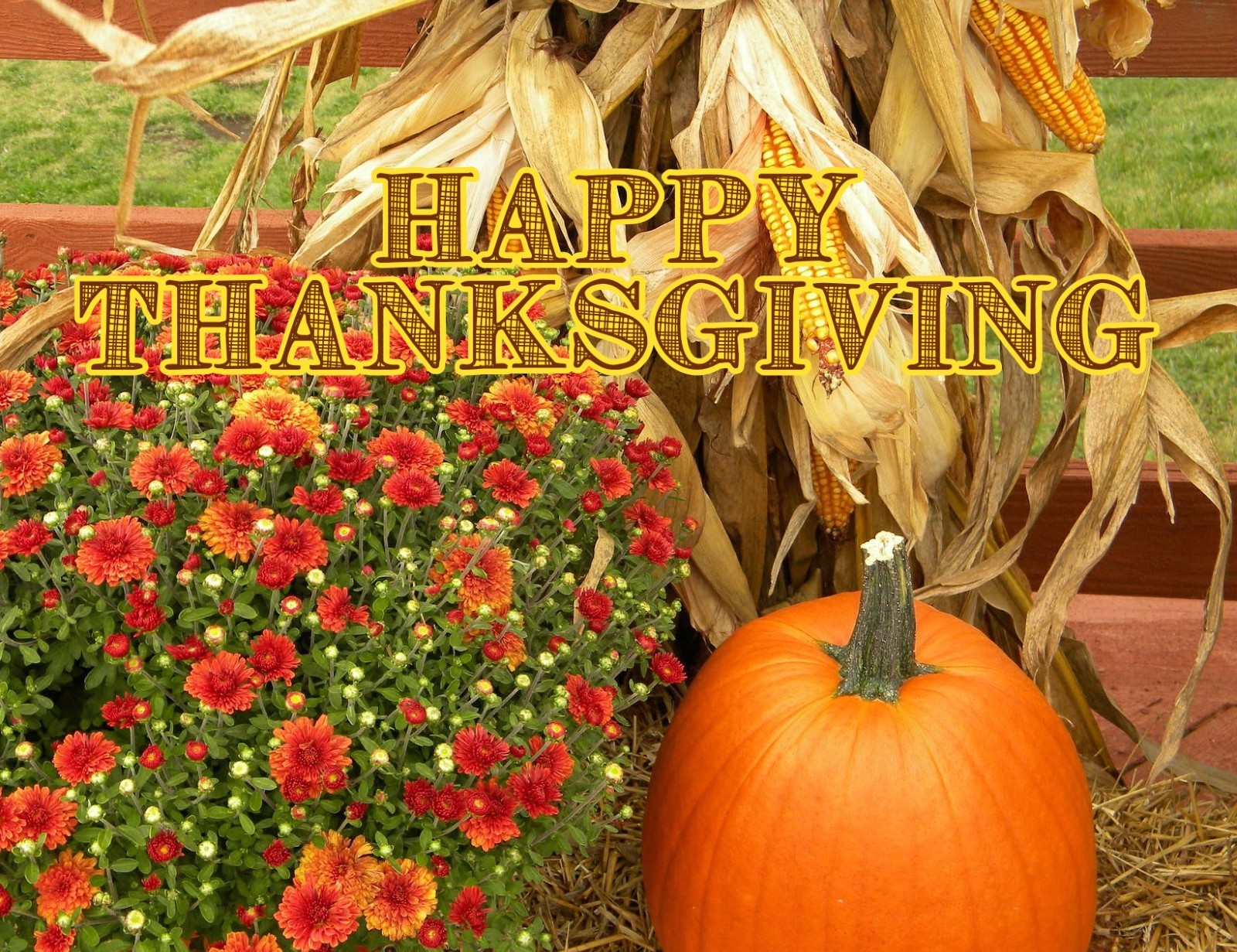 Thanksgiving Magnet, Thanksgiving Refrigerator Magnet, Thanksgiving ...