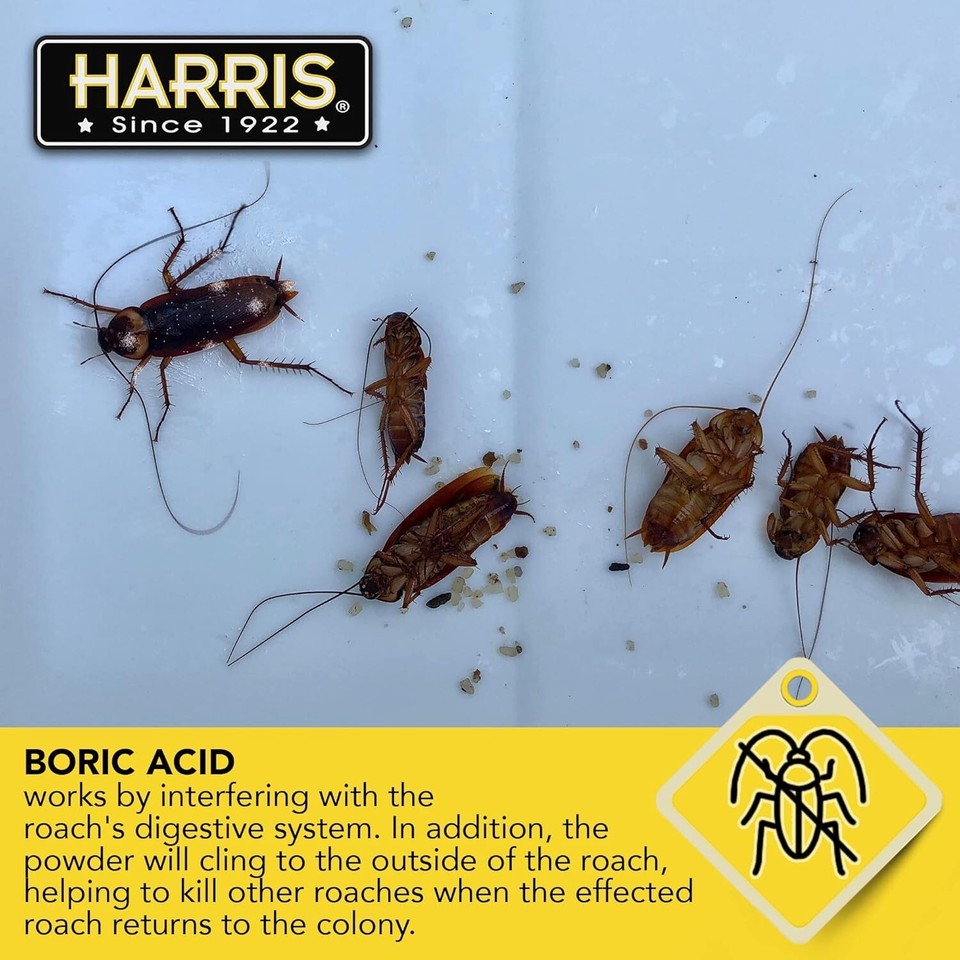 HARRIS Boric Acid Roach and Silverfish Killer Powder w/Lure for Insects ...