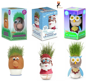 KIDS GRASS HEAD GROW YOUR OWN Christmas Gift Stocking Filler Grass Head ...