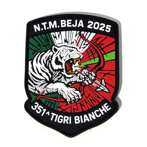 PVC Patch Nato Tiger Meet 2025 Italian Air Force 351ª Squadriglia | eBay.de