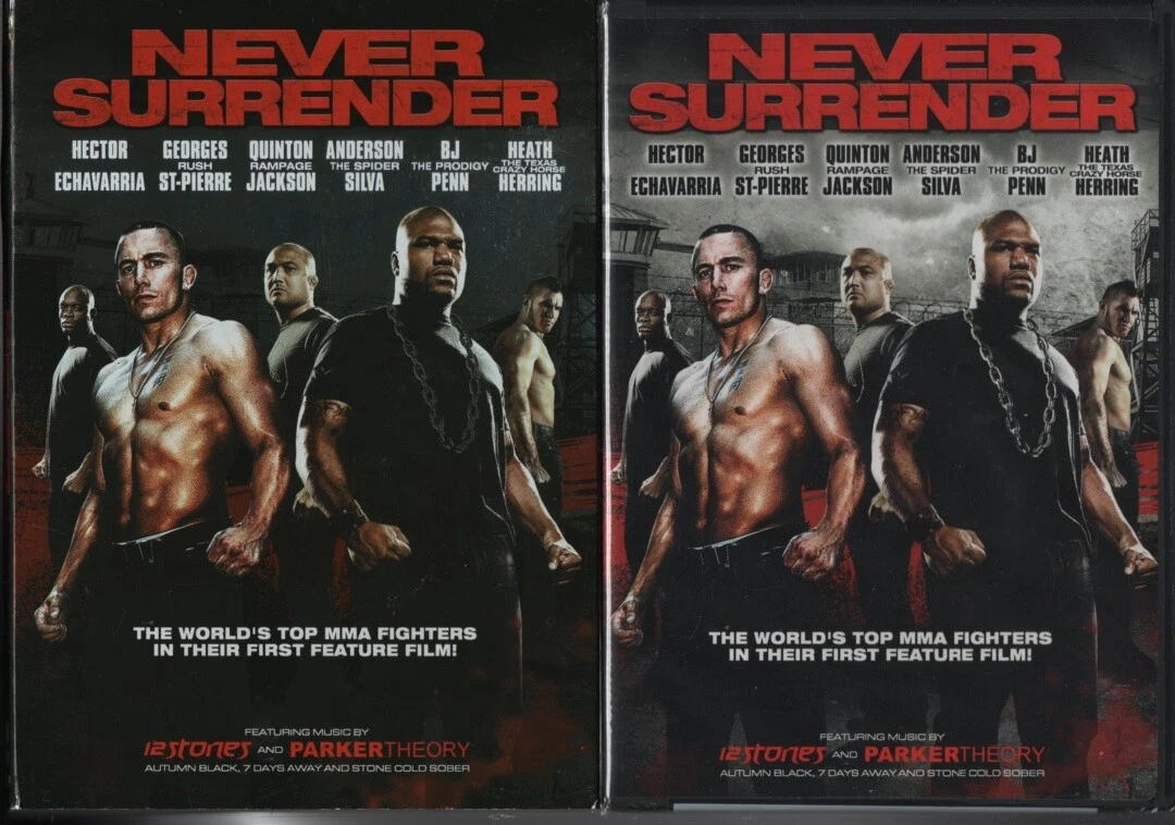 Never Surrender 2009